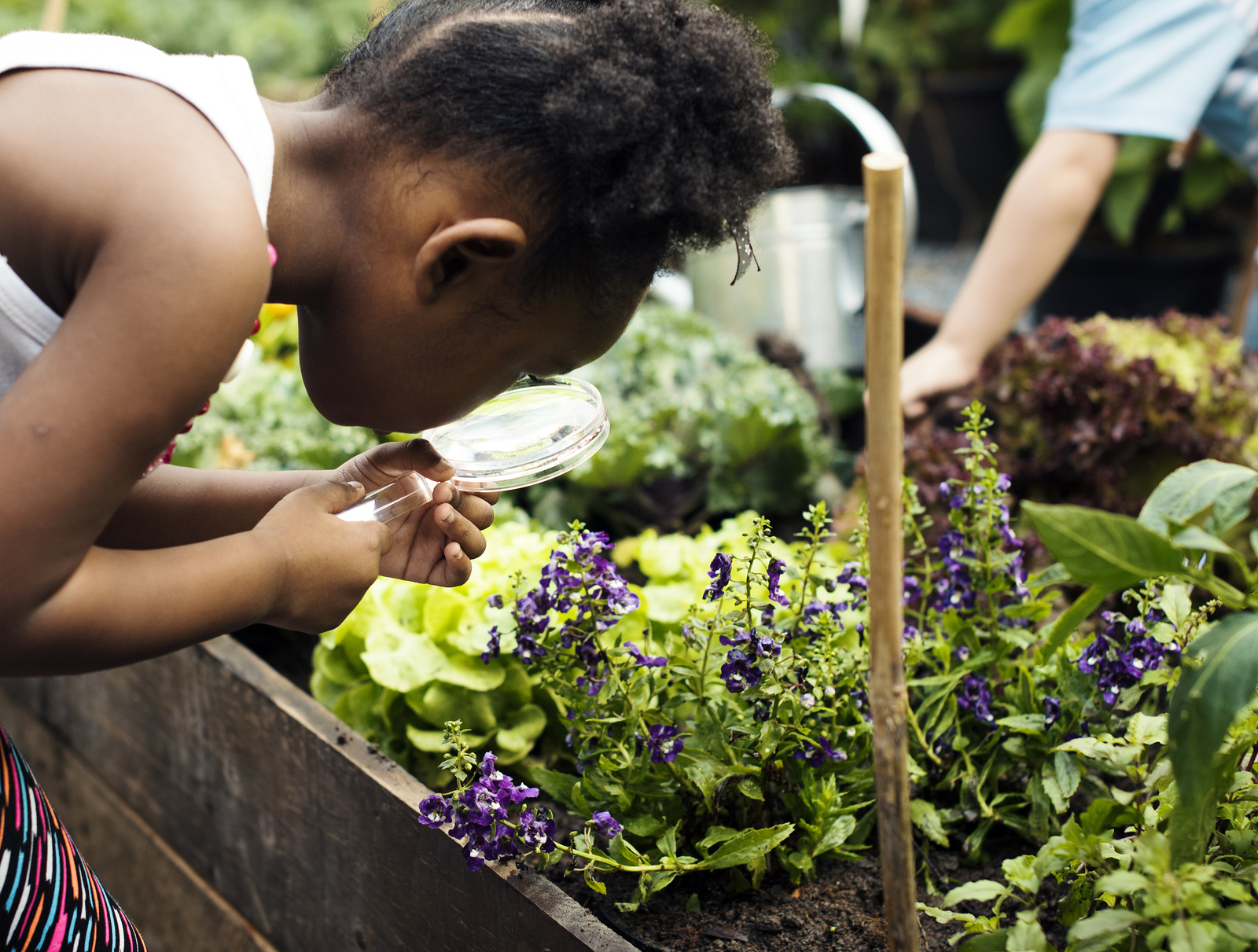Lessons in Local Food from Rural America | Feed Our Future