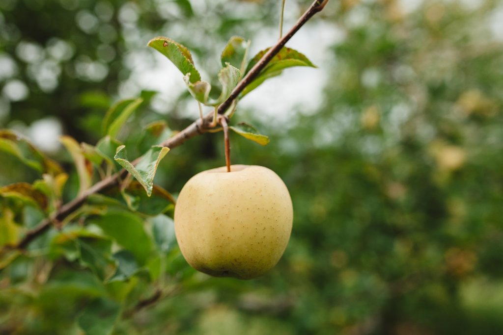 Winning Big with Imperfect Produce | Feed Our Future